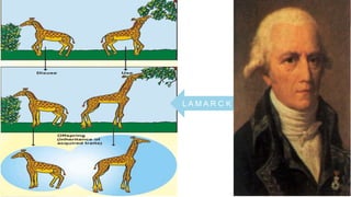 Teori evolusi.ppt