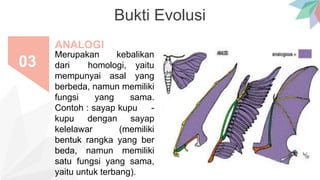 Teori evolusi.ppt