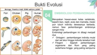 Teori evolusi.ppt