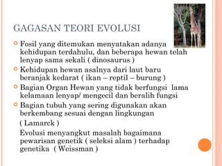Teori Evolusi | PPT