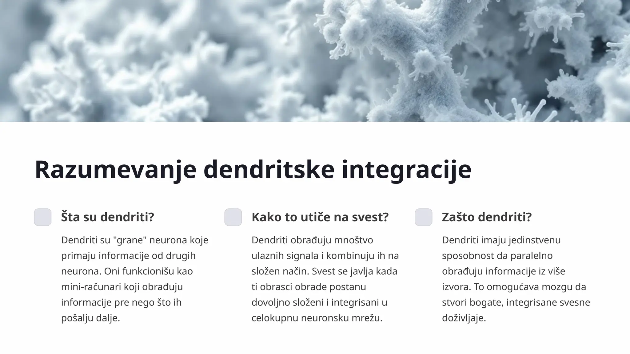 Teorija dendritske integracije, teorija o svesti.pptx