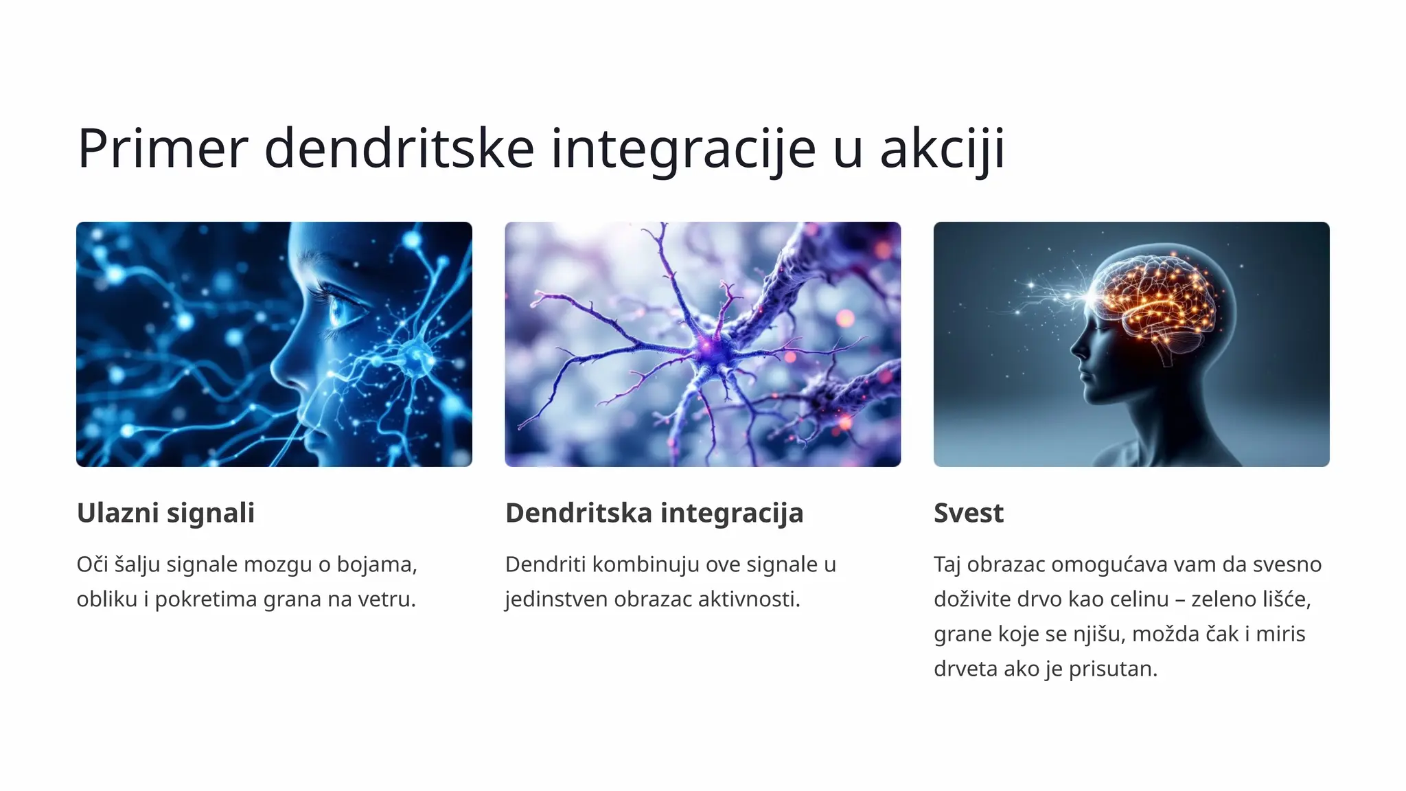 Teorija dendritske integracije, teorija o svesti.pptx
