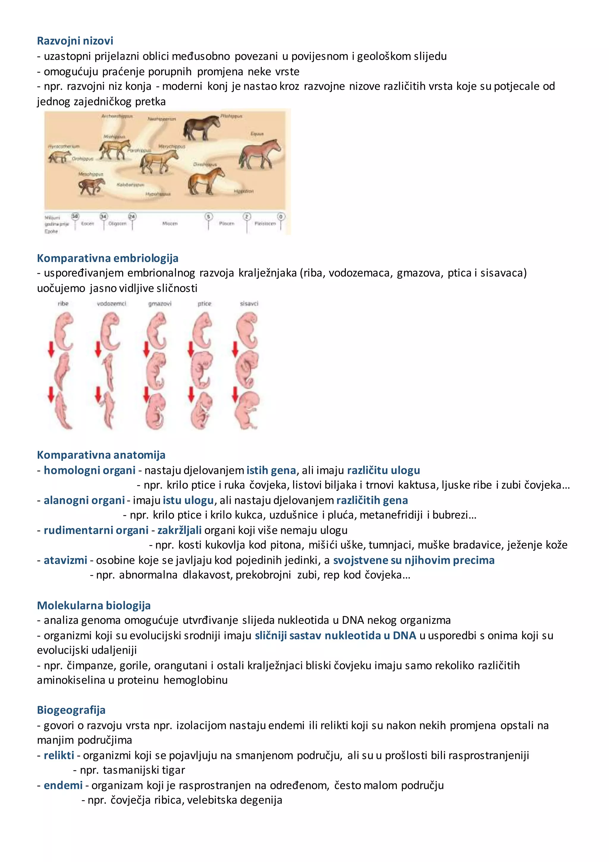 Teorija velikog praska.docx