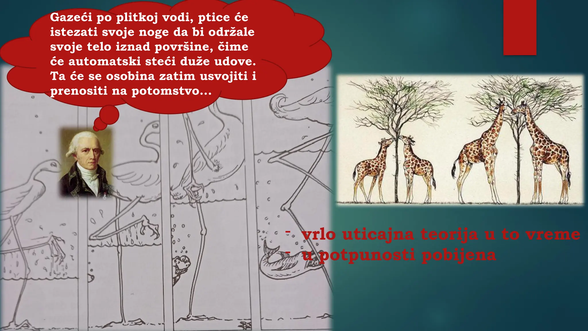 TEORIJE EVOLUCIJE.pptx, za osnovnu i srednje škole | PPTX