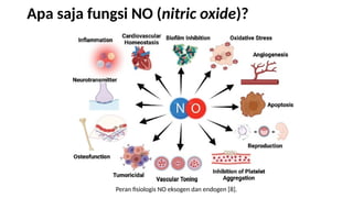 Pengertian dan Potensi Manfaat Nitric Oxide | PPTX