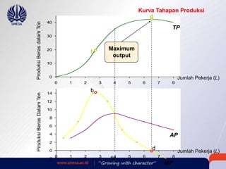 Teori produksi satu input | PPT