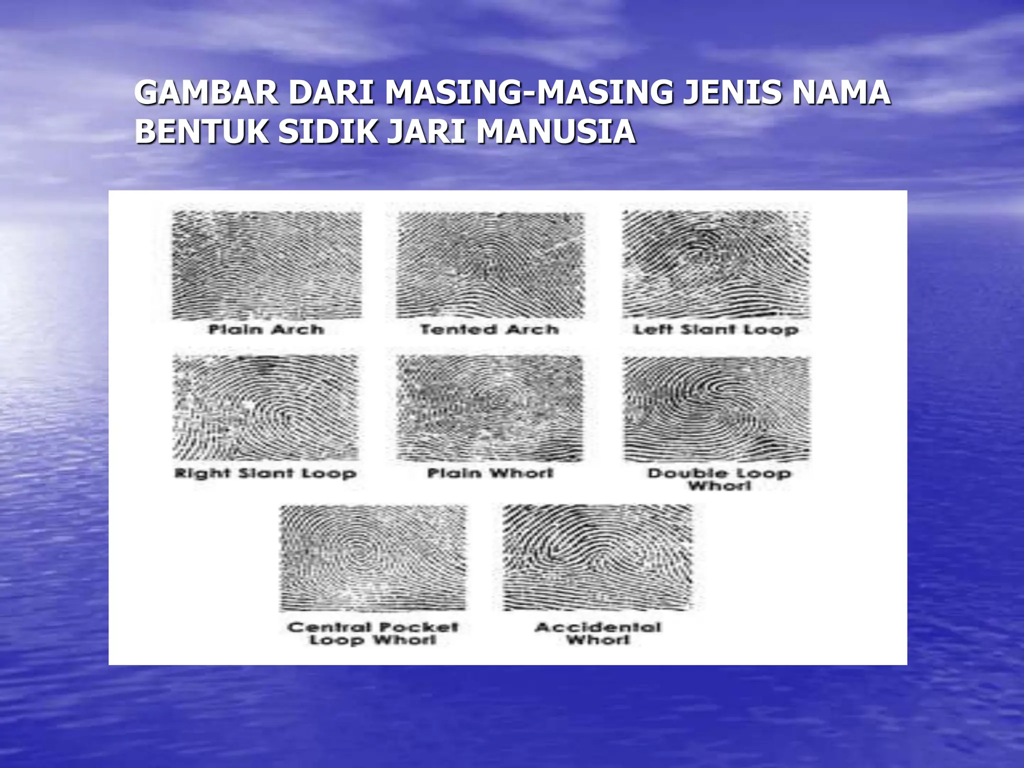 Teori Rumus Sidik jari.ppt