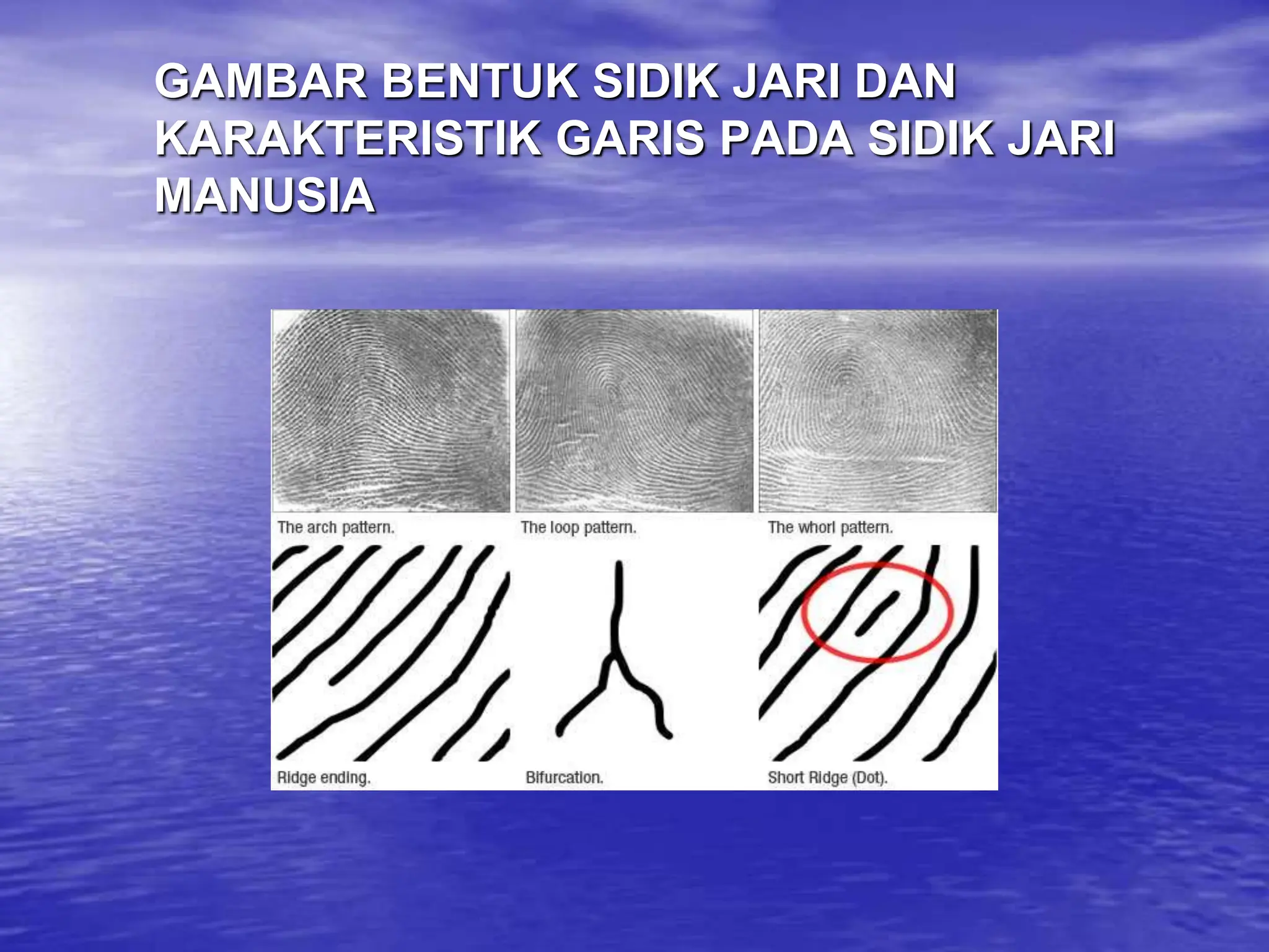 Teori Rumus Sidik jari.ppt