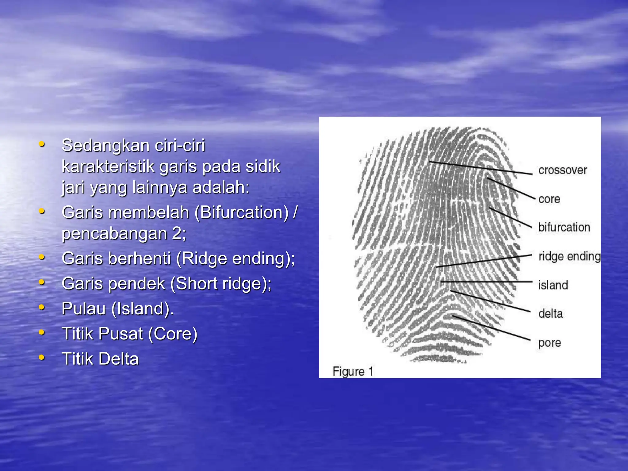 Teori Rumus Sidik jari.ppt