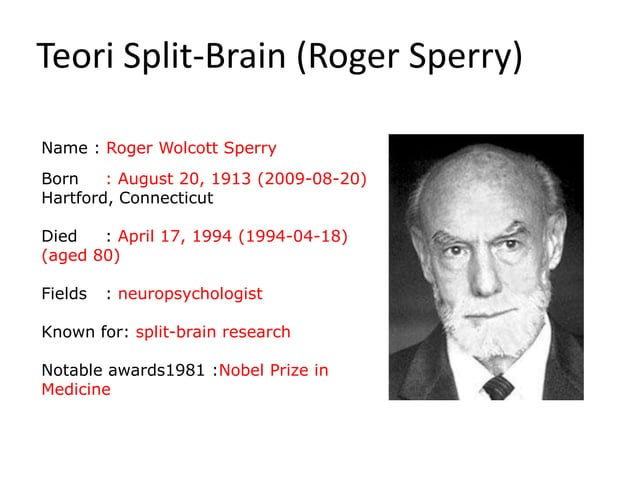 Teori split brain (roger sperry) | PPT
