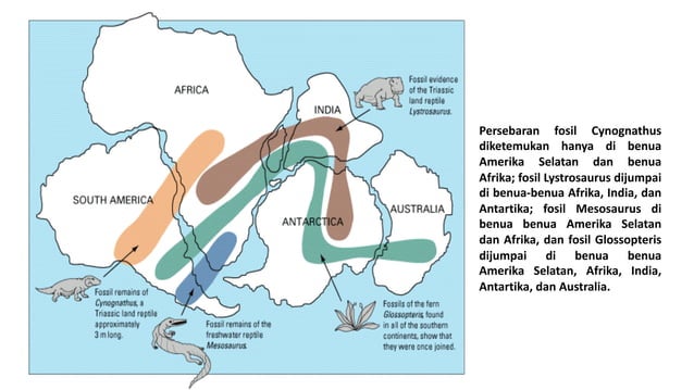 TEORI TEKTONIK LEMPENG DAN PENGEPUNGAN BENUA.pdf