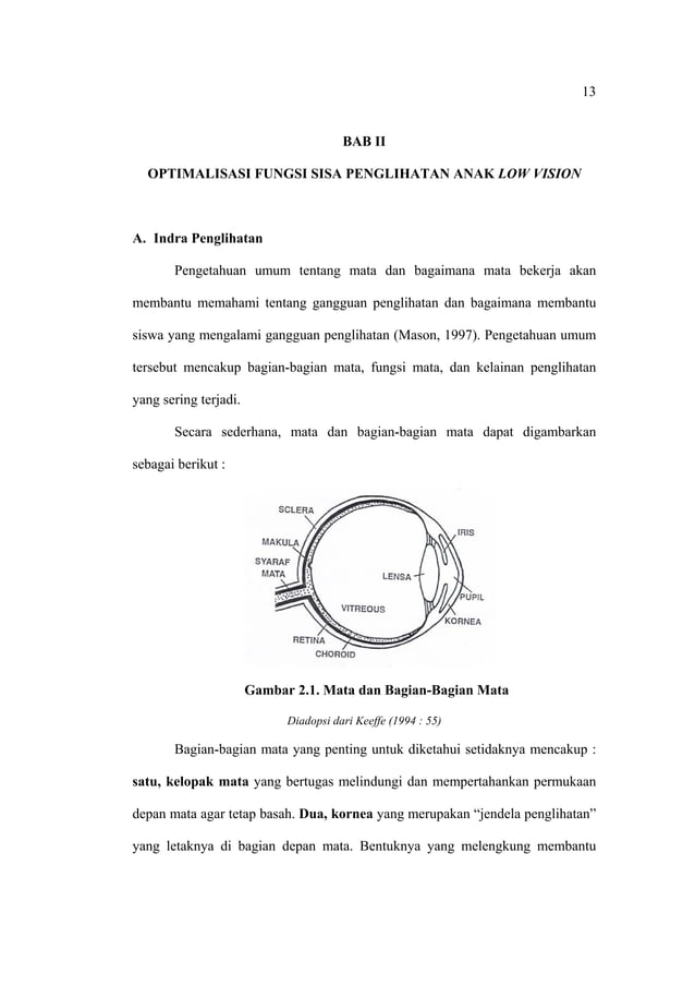 Teori tentang low vision | PDF