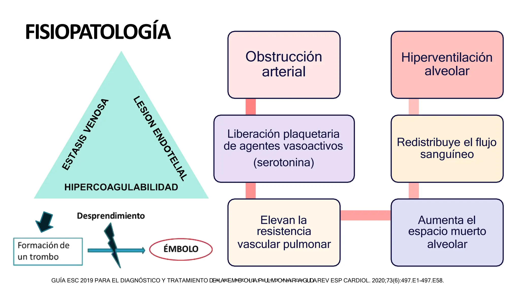 TEP tromboembolismo pulmonar educación médica | PPT