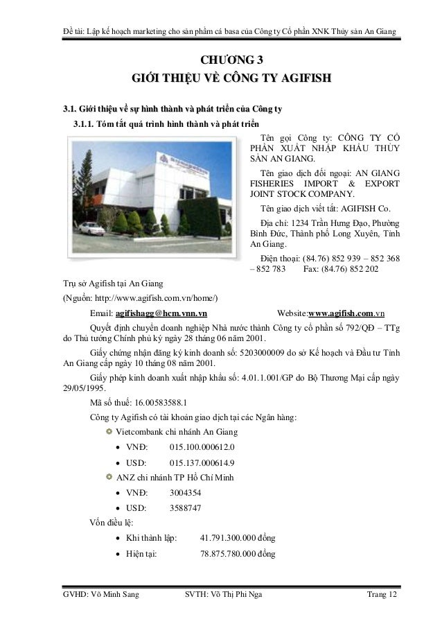 Phân tích hoạt động marketing tại công ty Agifish | PDF