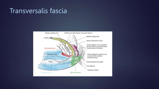 TEP Totally extraperitoneal inguinal hernia repair.pptx