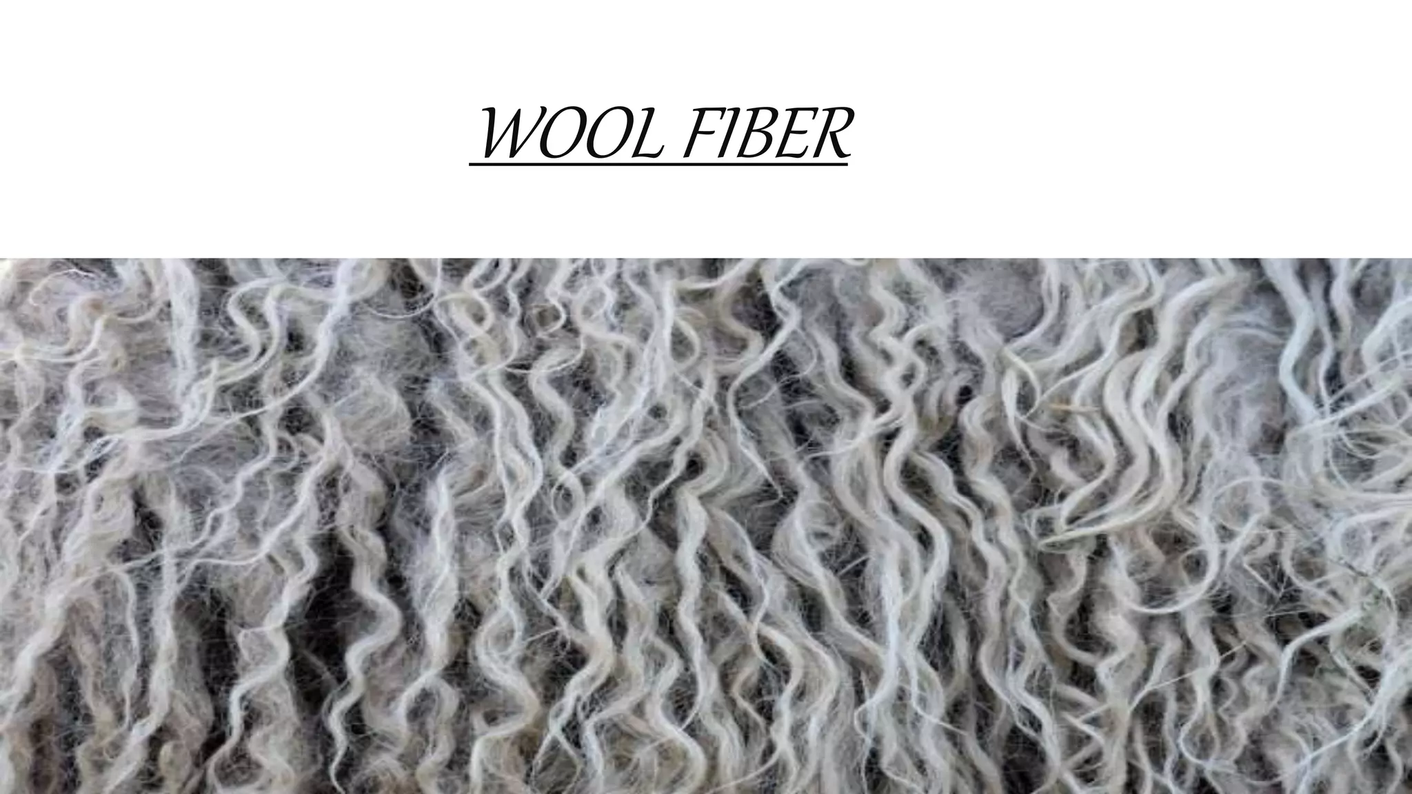 Wool fiber presentation | PPTX