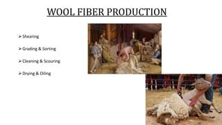 Wool fiber presentation | PPT