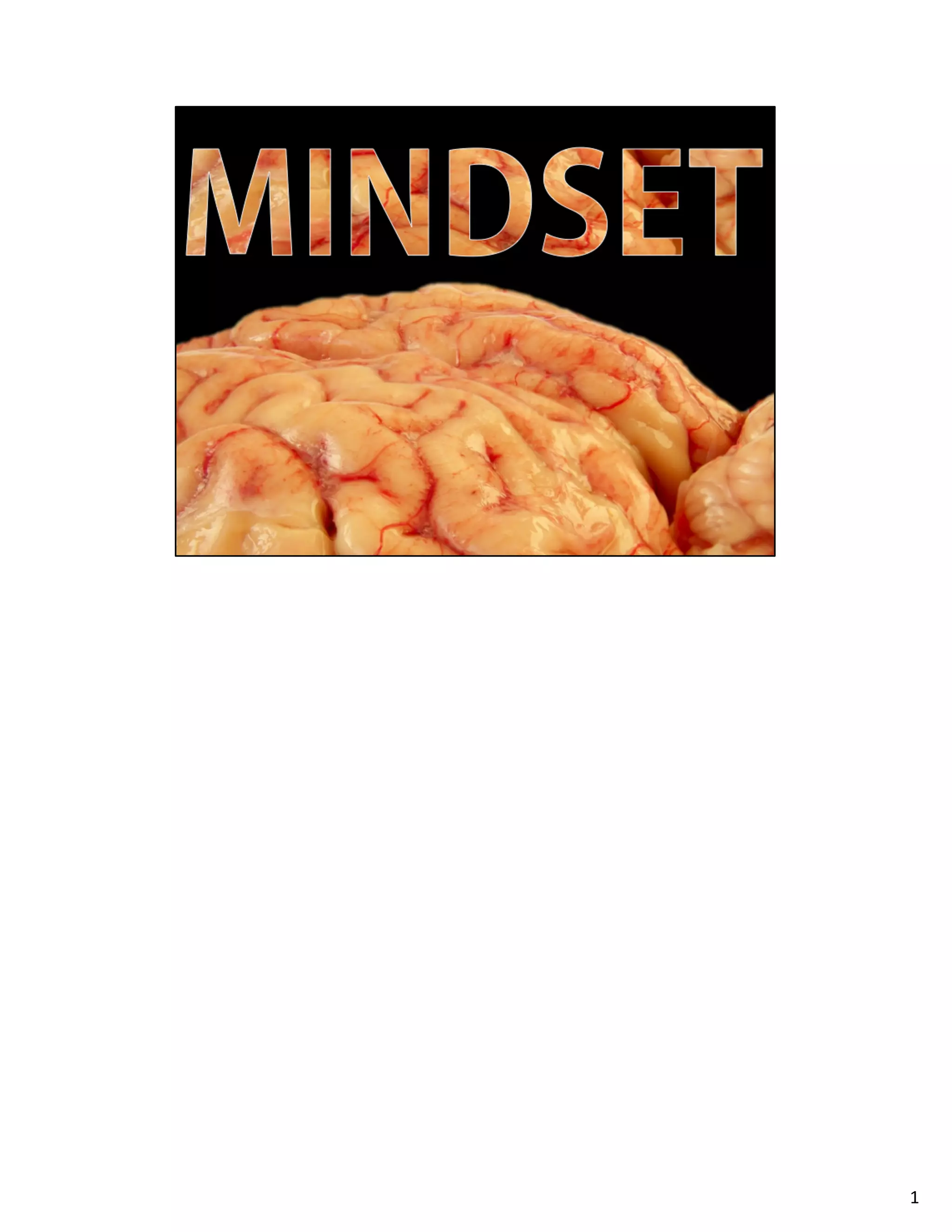 Mindset for Educators: TEPSA18 | PDF