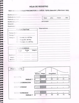 TEPSI HOJA DE REGISTRO Y PROTOCOLO.pdf