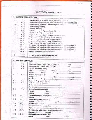 TEPSI HOJA DE REGISTRO Y PROTOCOLO.pdf