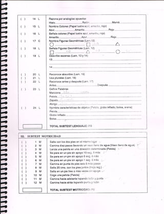 TEPSI HOJA DE REGISTRO Y PROTOCOLO.pdf