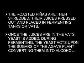 Tequila | PPT