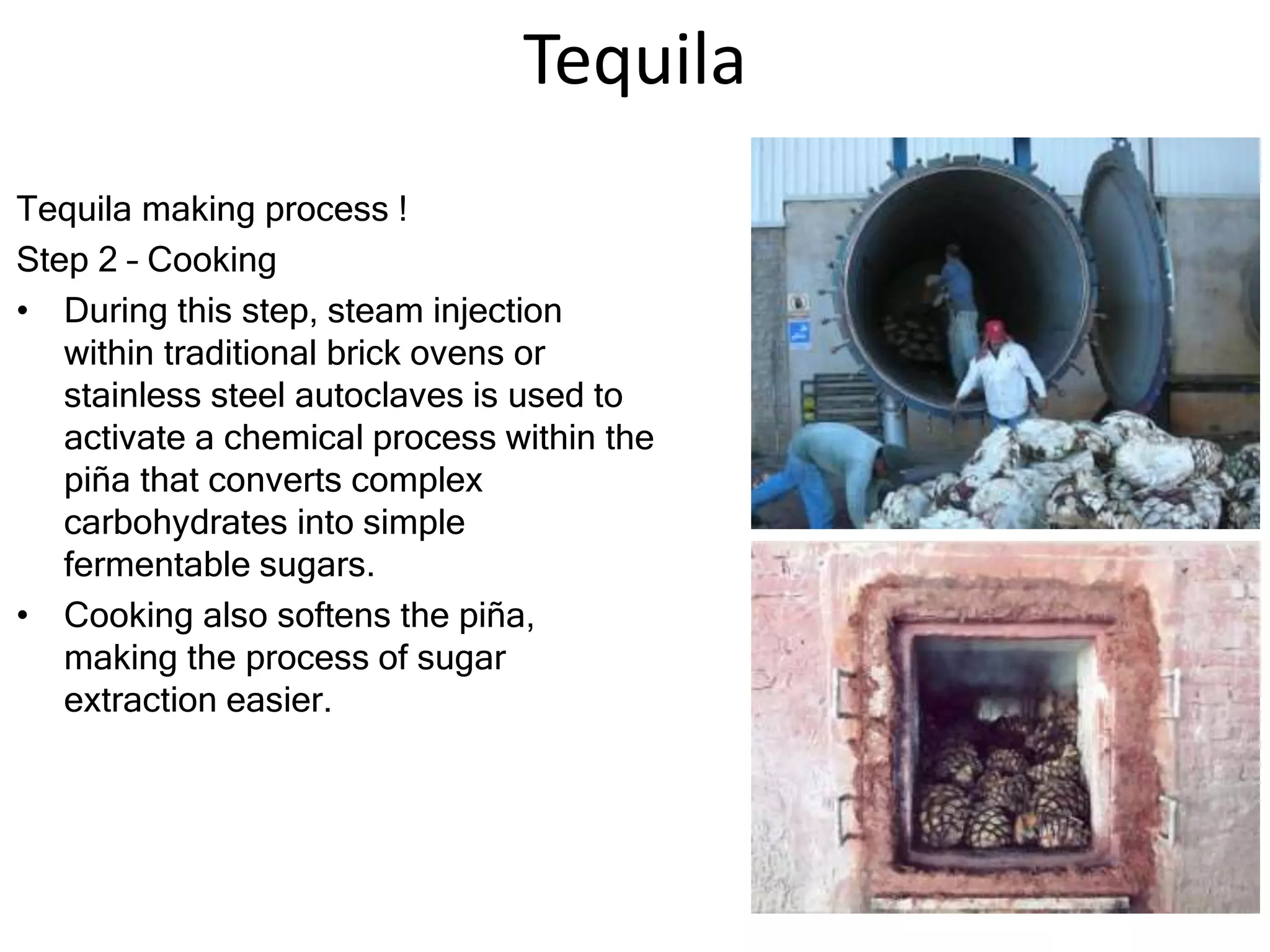 Tequila production and its types | PPTX