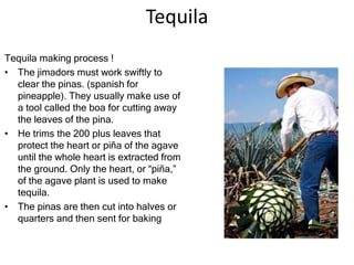 Tequila production and its types | PPTX