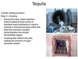 Tequila production and its types | PPTX