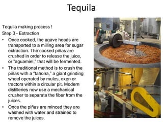 Tequila production and its types | PPTX