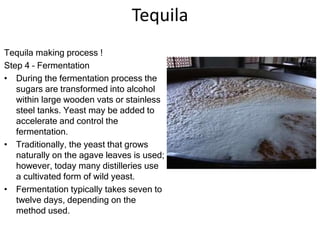 Tequila production and its types | PPTX