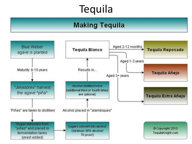Tequila production and its types