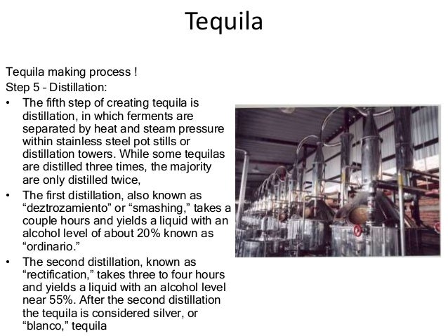 Tequila production and its types
