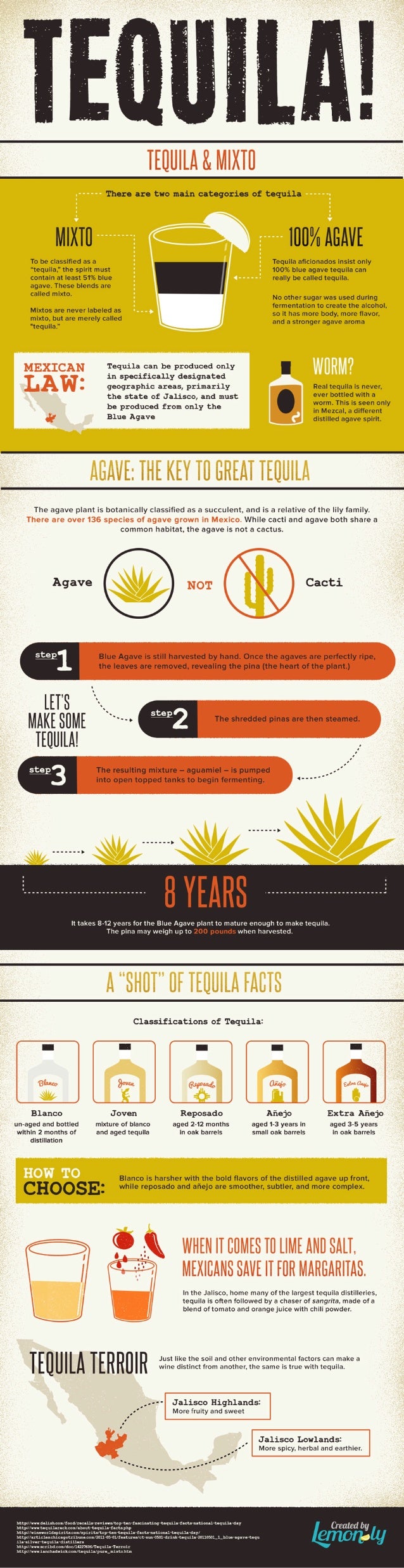 Tequila 101 Infographic