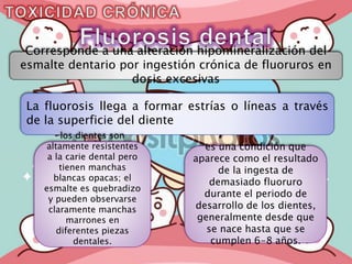 Terapeutica del fluor expo | PPTX