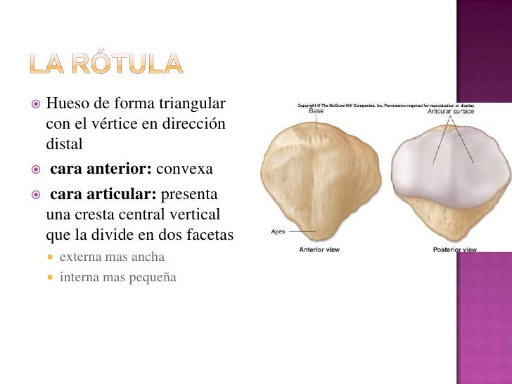 FRACTURA DE ROTULA