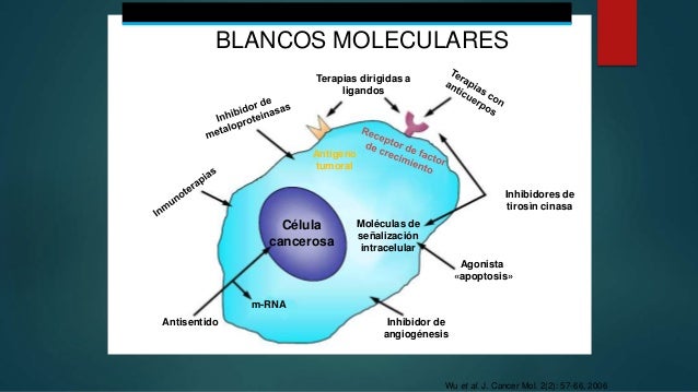 Terapia blanco en cancer
