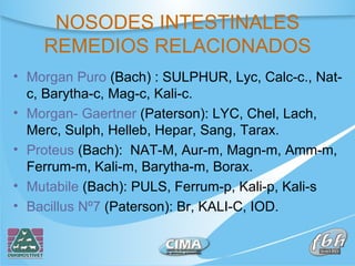 Terapia isopática. Dr. Alvaro Marin Quintero | PPT