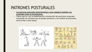 terapia ocupacional y ergonomia en las actividades | PPTX