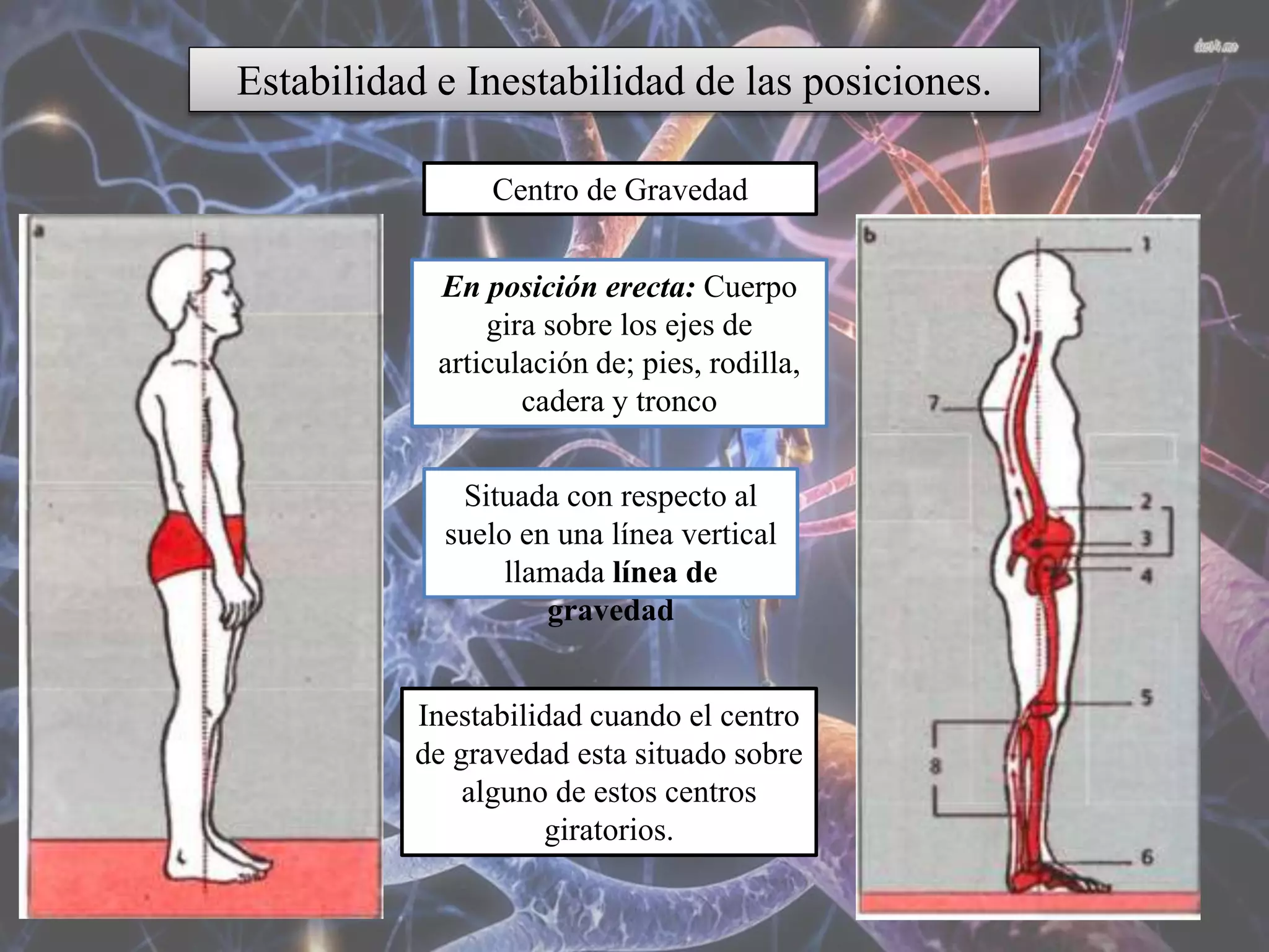 Posiciones en Fisioterapia y Tecnicas | PPTX