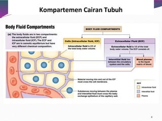 ~ Terapi Cairan pada pasien dengan kondisi.pptx