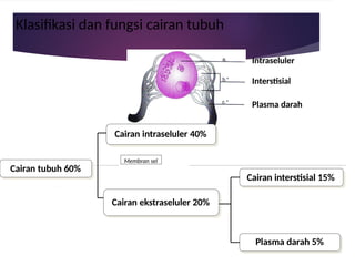 pemberian terapi cairan kepada anak.pptx