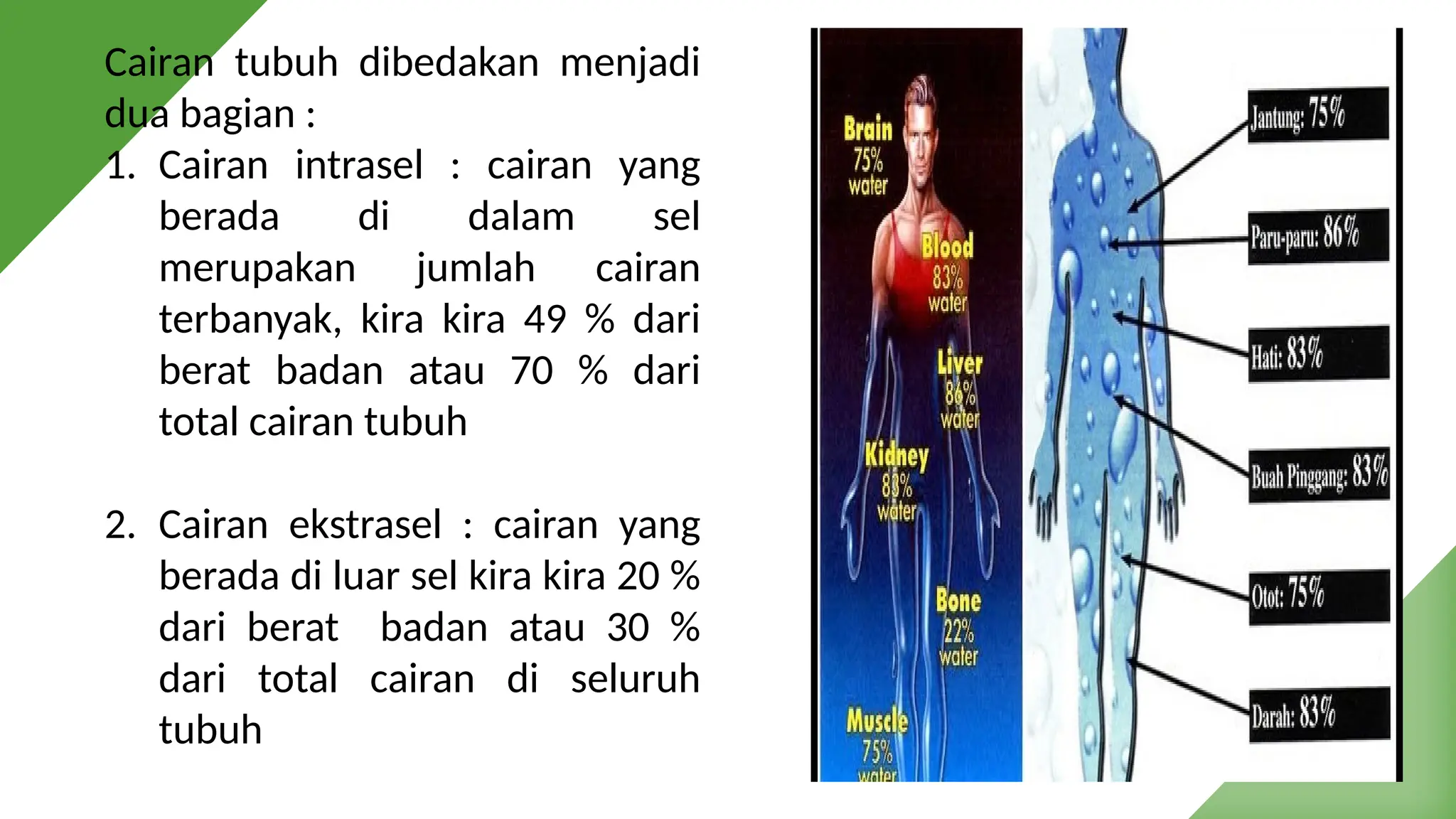 TERAPI CAIRAN .pptx pada pasien yang dehidrasi | PPTX