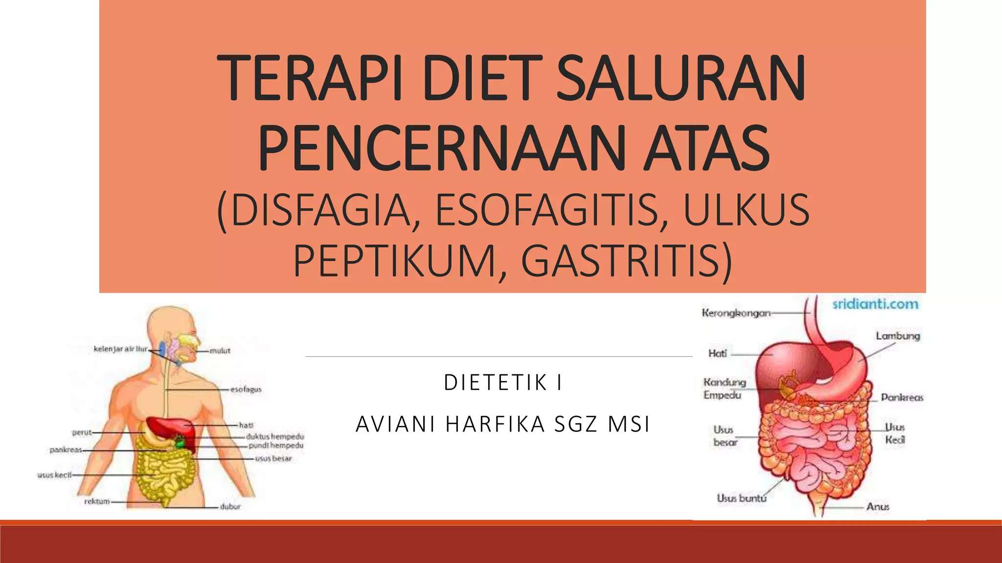 TERAPI DIET SALURAN PENCERNAAN ATAS.pptx