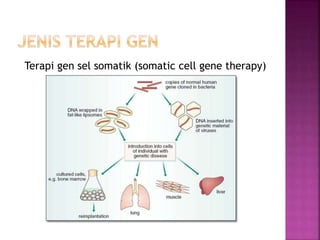 Terapi gen | PPTX