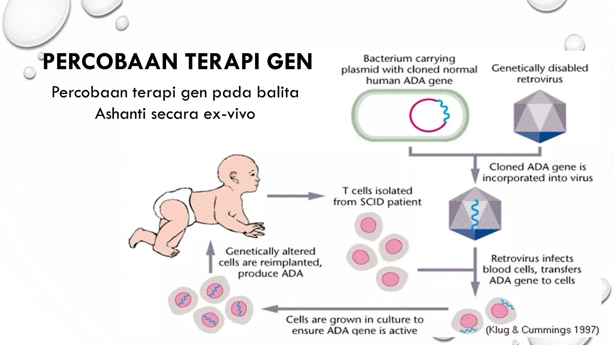 Terapi Gen_Fitri Damayanti_Universitas Indraprasta PGRI | PDF