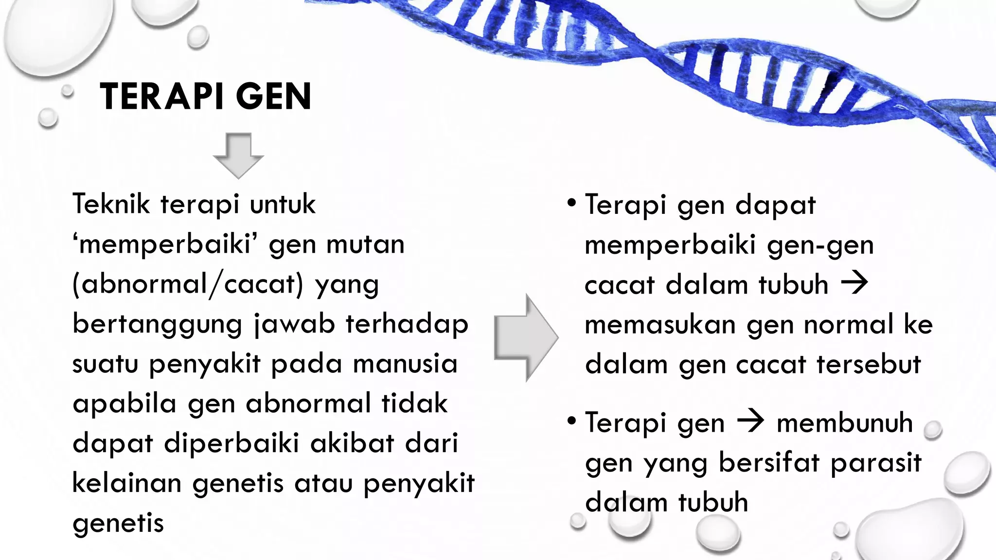 Terapi Gen_Fitri Damayanti_Universitas Indraprasta PGRI | PDF