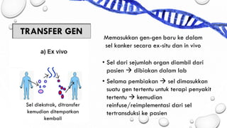Terapi Gen_Fitri Damayanti_Universitas Indraprasta PGRI | PDF