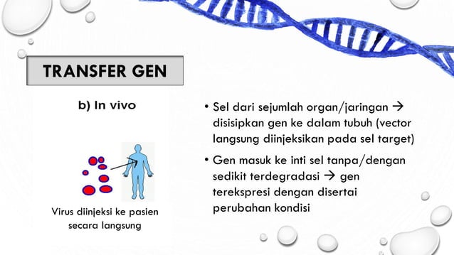 Terapi Gen_Fitri Damayanti_Universitas Indraprasta PGRI | PDF