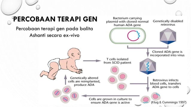 Terapi Gen_Fitri Damayanti_Universitas Indraprasta PGRI | PDF